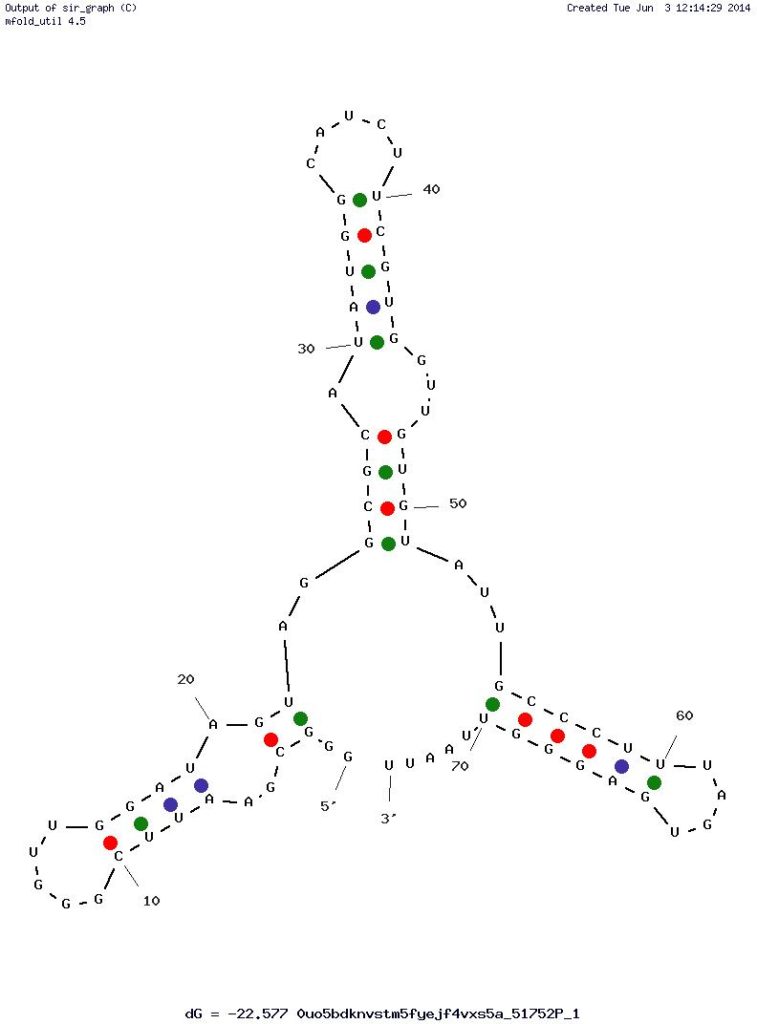 » 2′-O-Methyl modified RNA aptamer