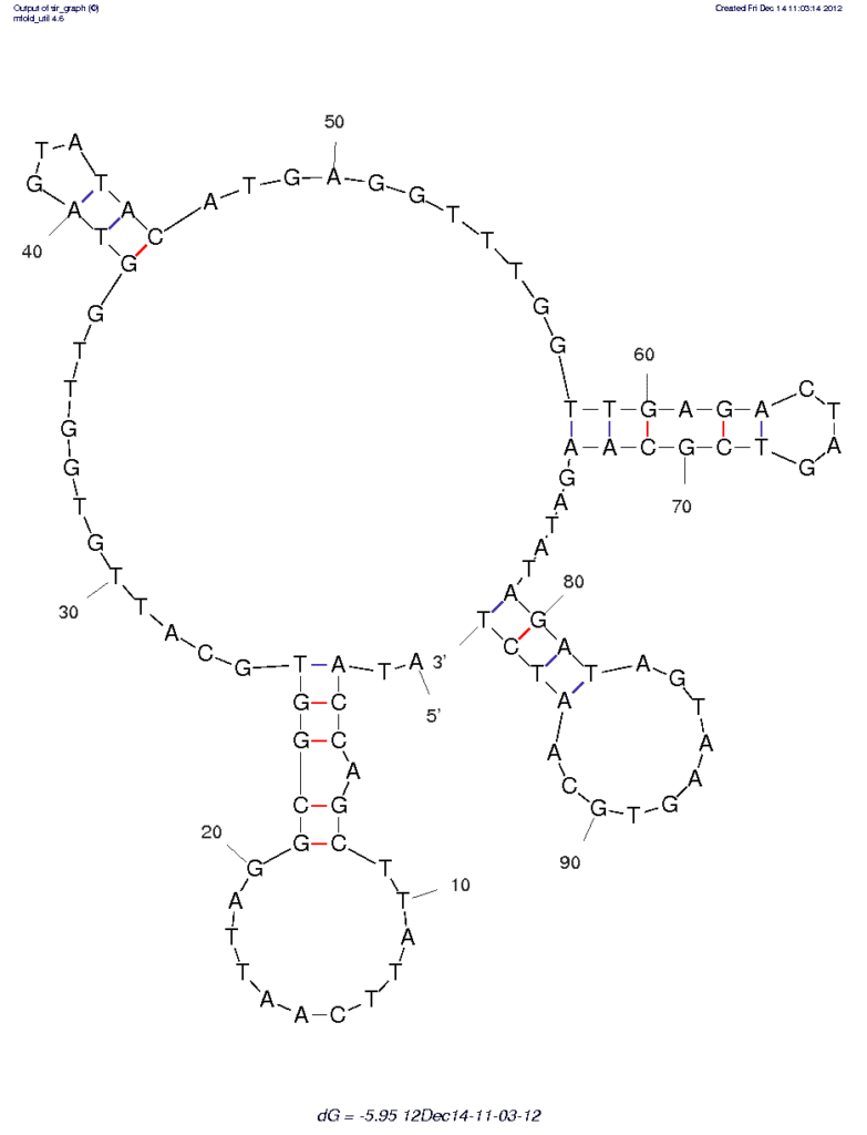 » YPEN-1 Endothelial Cells (III.1)