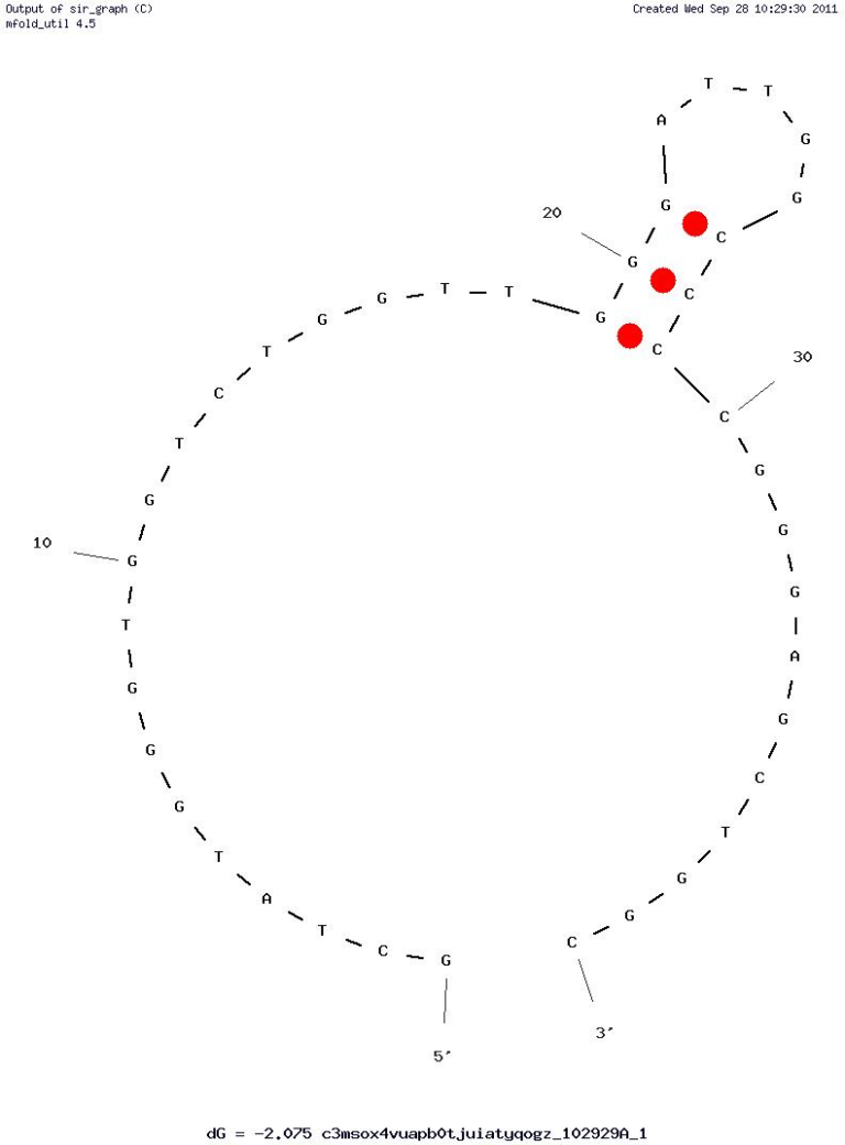 » Anti-His Tag (6H7)