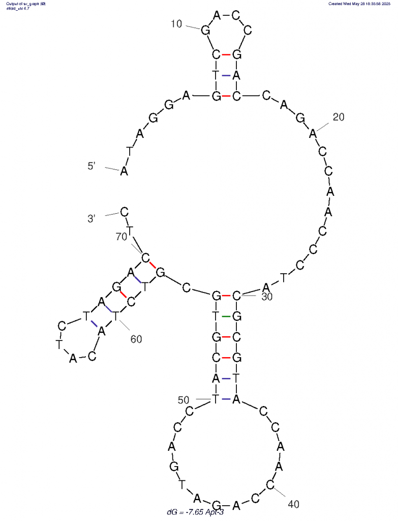 » Apt-3 aptamer against C promoter binding factor 1 (CBF1)