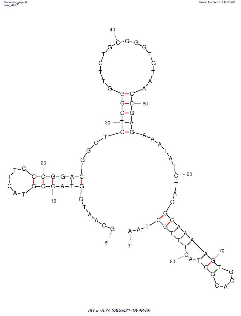 Bacillus Carboniphilus Bca 05