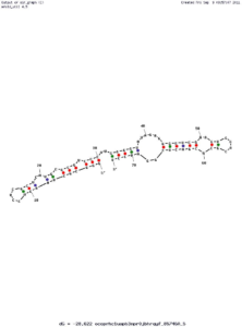 » Beta 2-Integrin (D20)