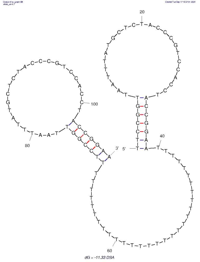 » SARS-CoV-2 Spike Protein Dimeric Aptamer (DSA1N1)