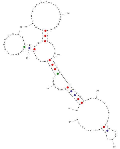 » E2 against amyloid β-peptide