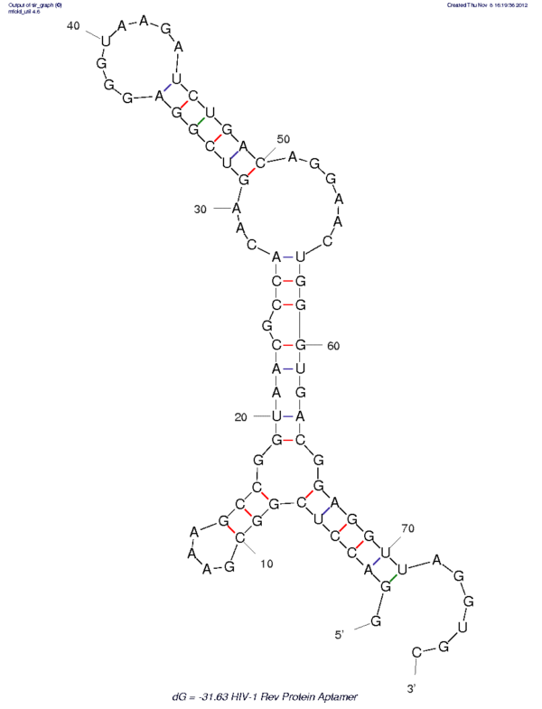 HIV-1 Rev Peptide (L1-Rev) - APTAGEN Labs