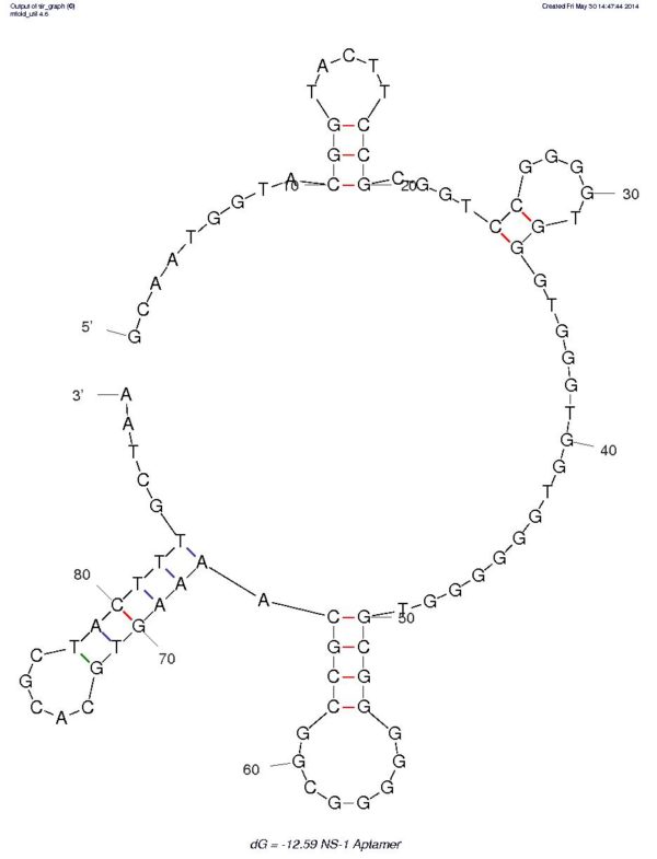 » NS-1 Aptamer