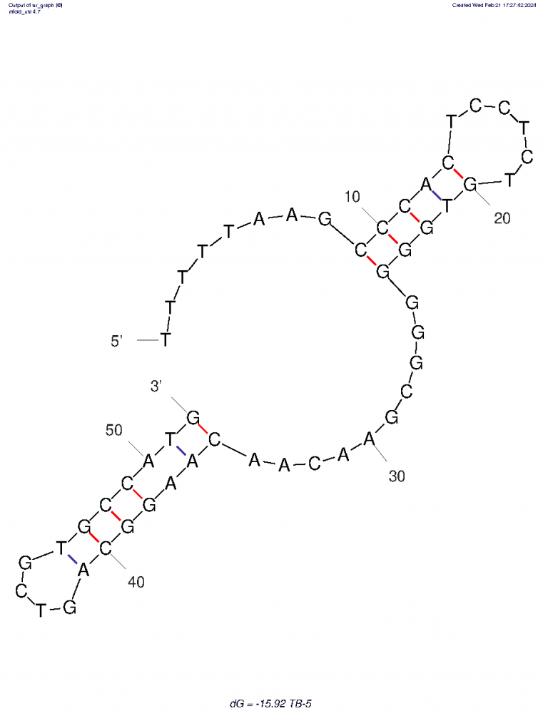» TB-5 Nucleolin Aptamer