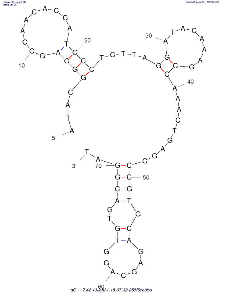 Bacillus Anthracis Spores Bas 6f