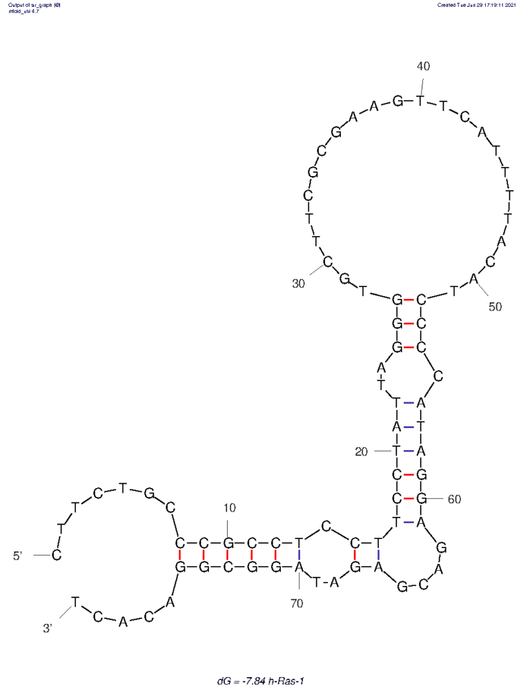 h-Ras-1 - APTAGEN Labs