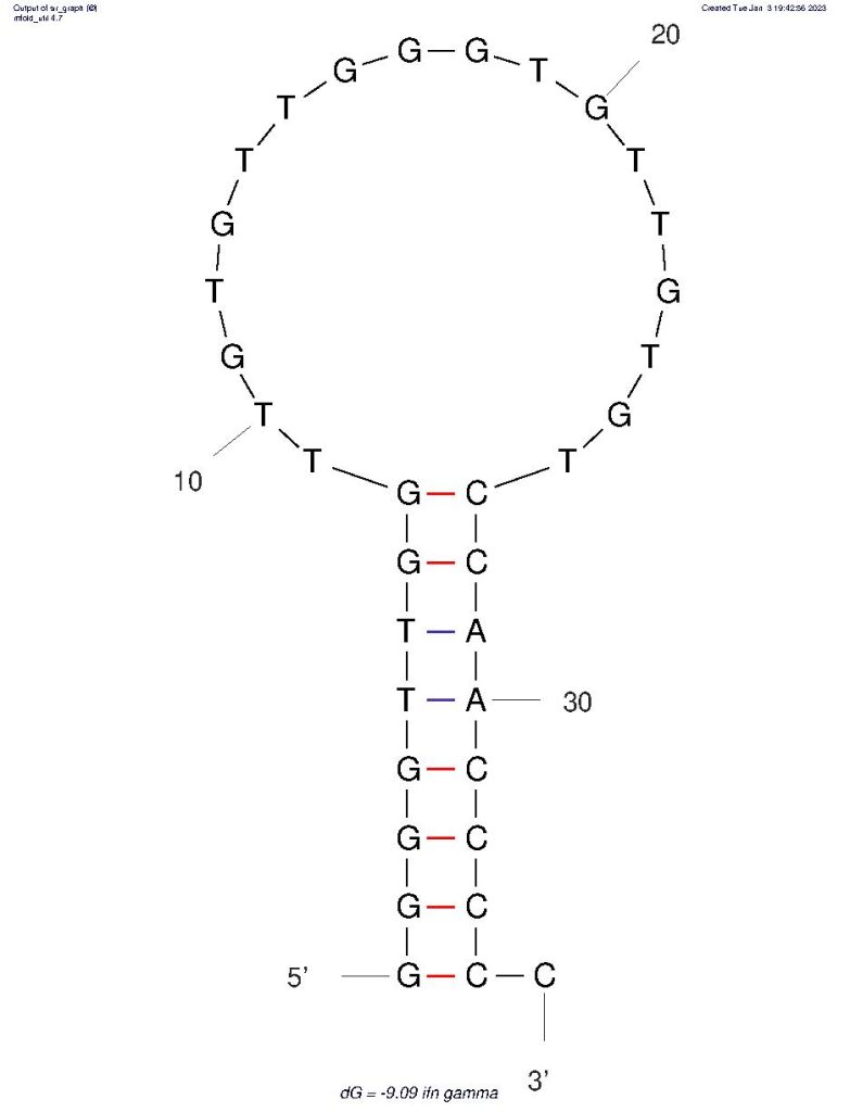 » IFN-γ-binding aptamer