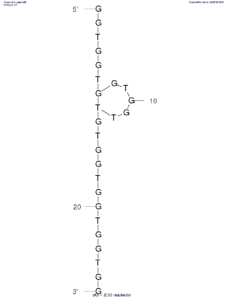 » Nucleolin aptamer (AS1411)