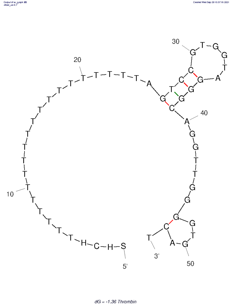 » Thrombin Aptamer 2